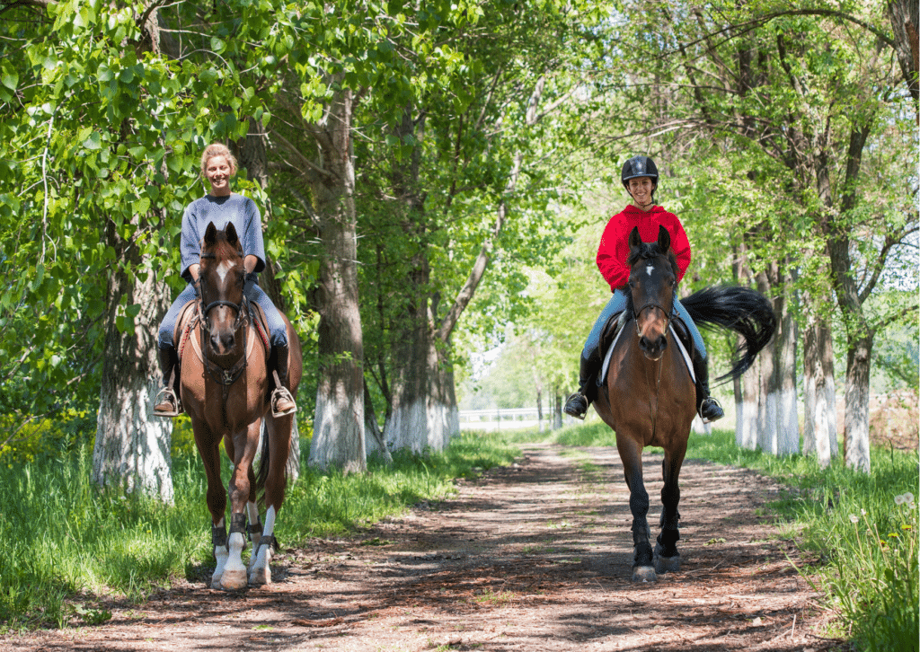 Things to do in Cyprus at the best locations | Ezoria Villas